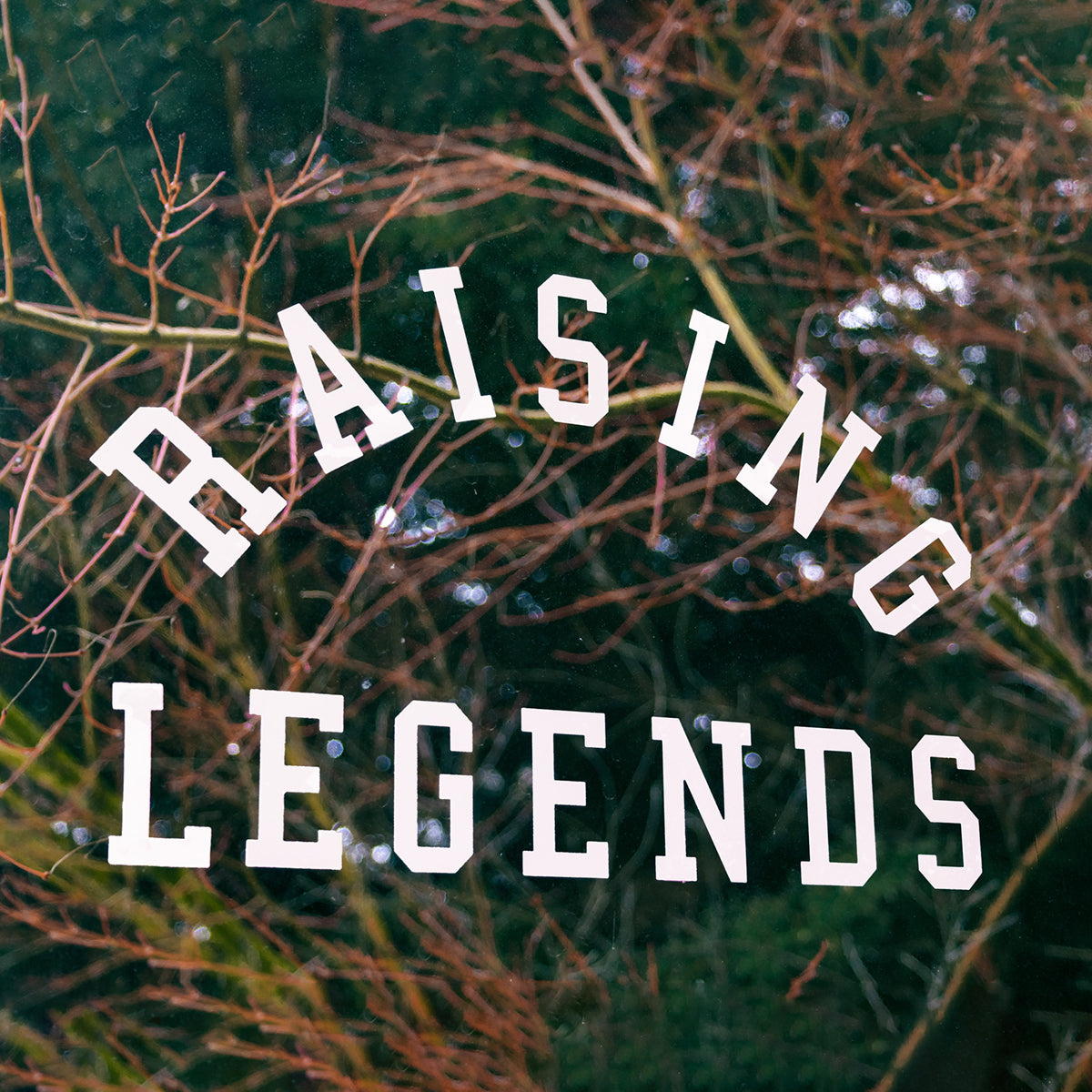 RAISING LEGENDS® WINDOW TRANSFER - WHITE – Ford And Wyatt